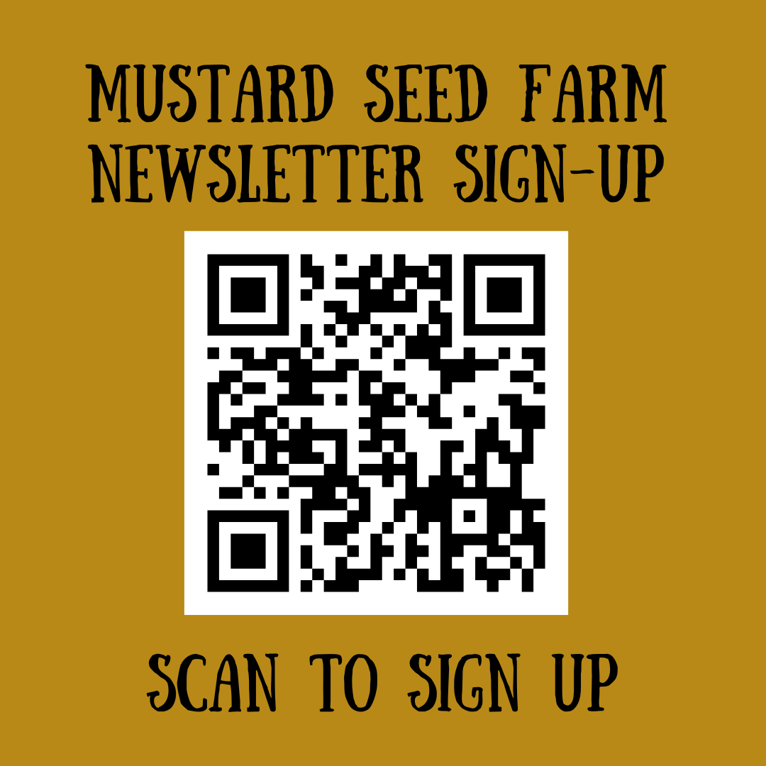 Mustard Seed Farm – Animal Sanctuary