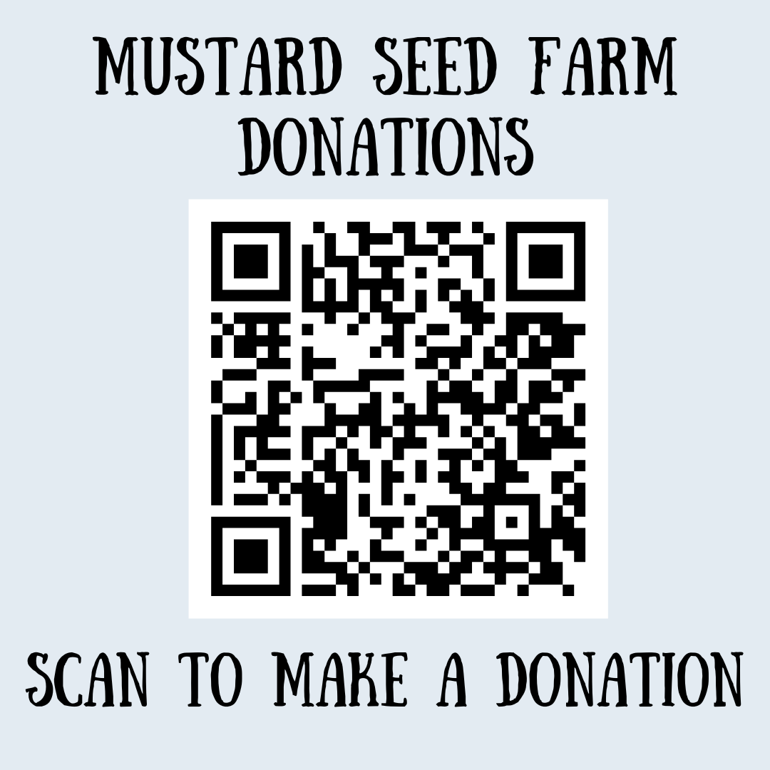 Mustard Seed Farm – Animal Sanctuary